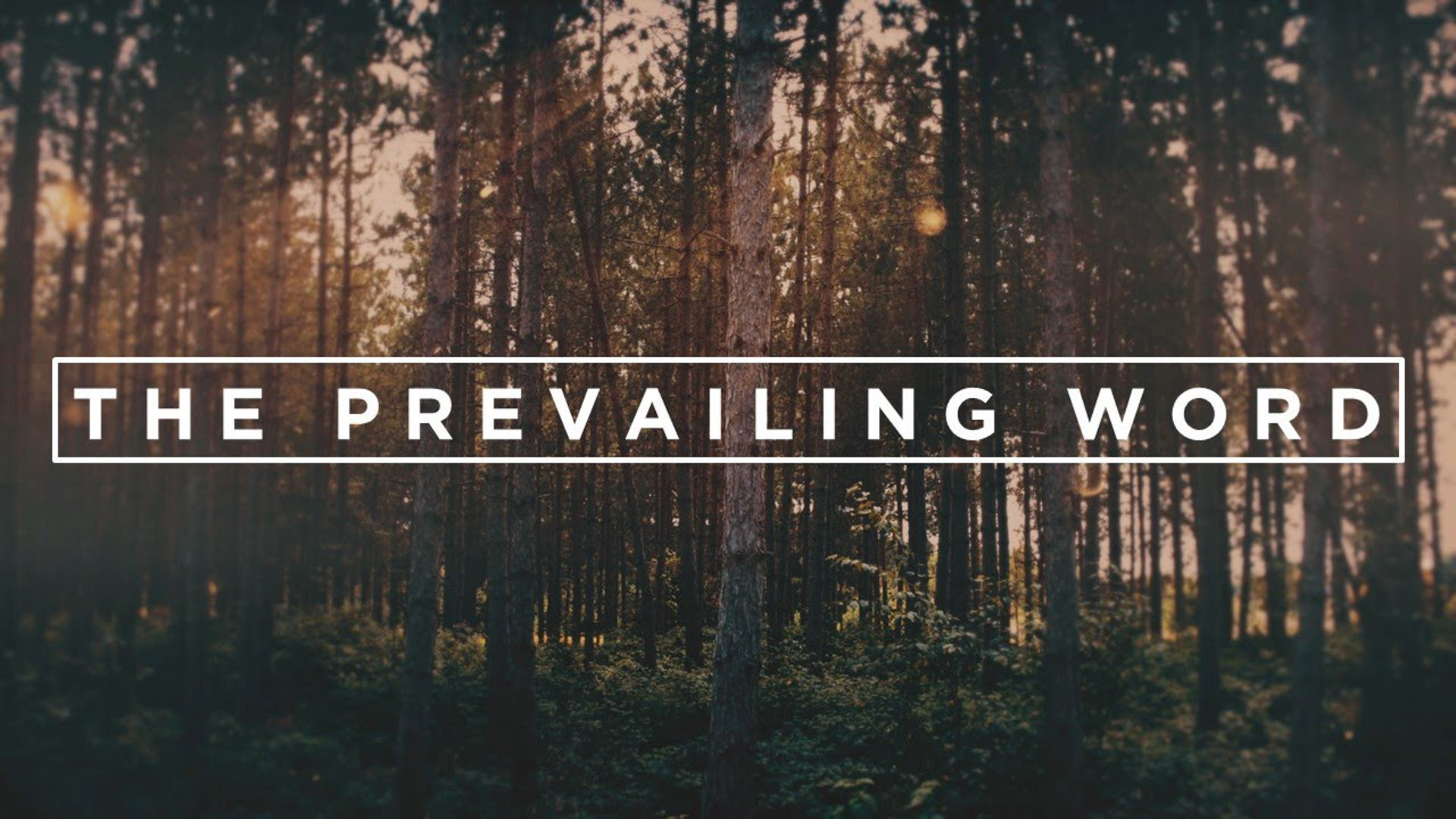 The Prevailing Word - New and Living Way